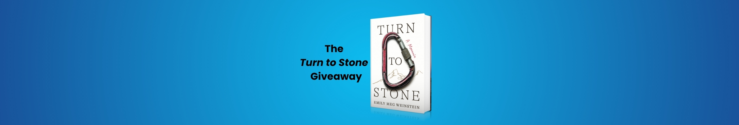 Enter the Turn to Stone Giveaway | Simon & Schuster
